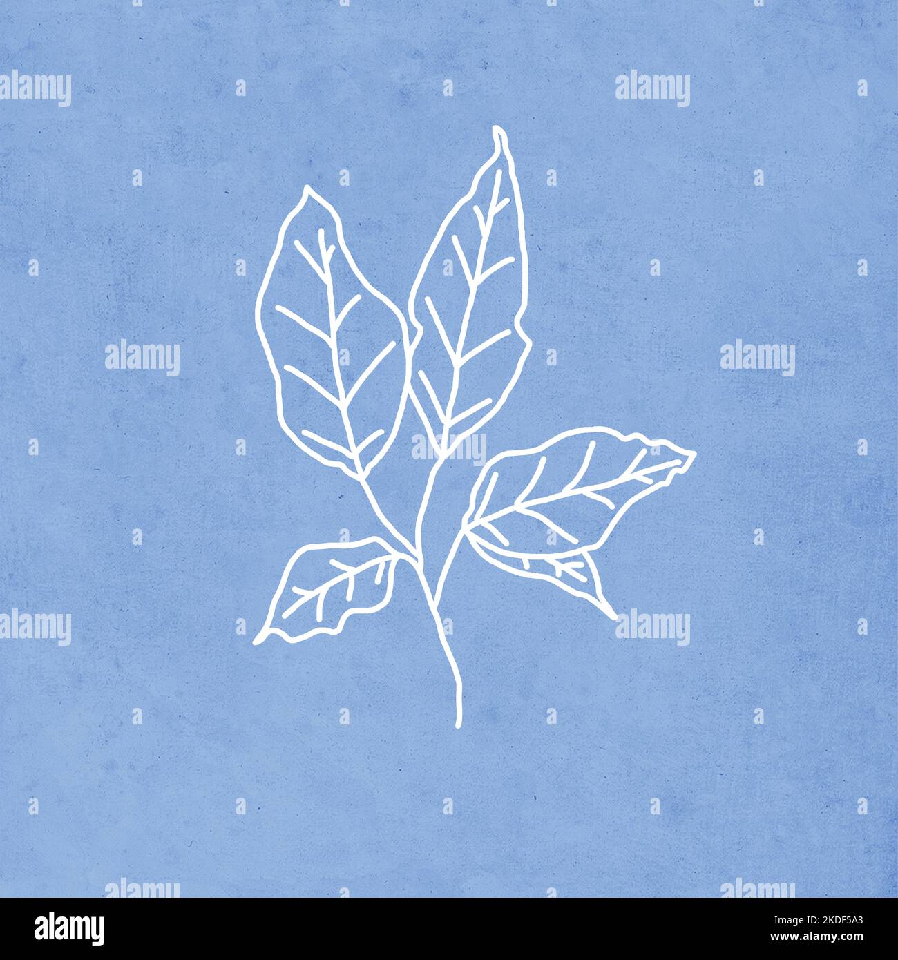 Contemporary art poster. Botanical pattern for print, cover, wallpaper ...