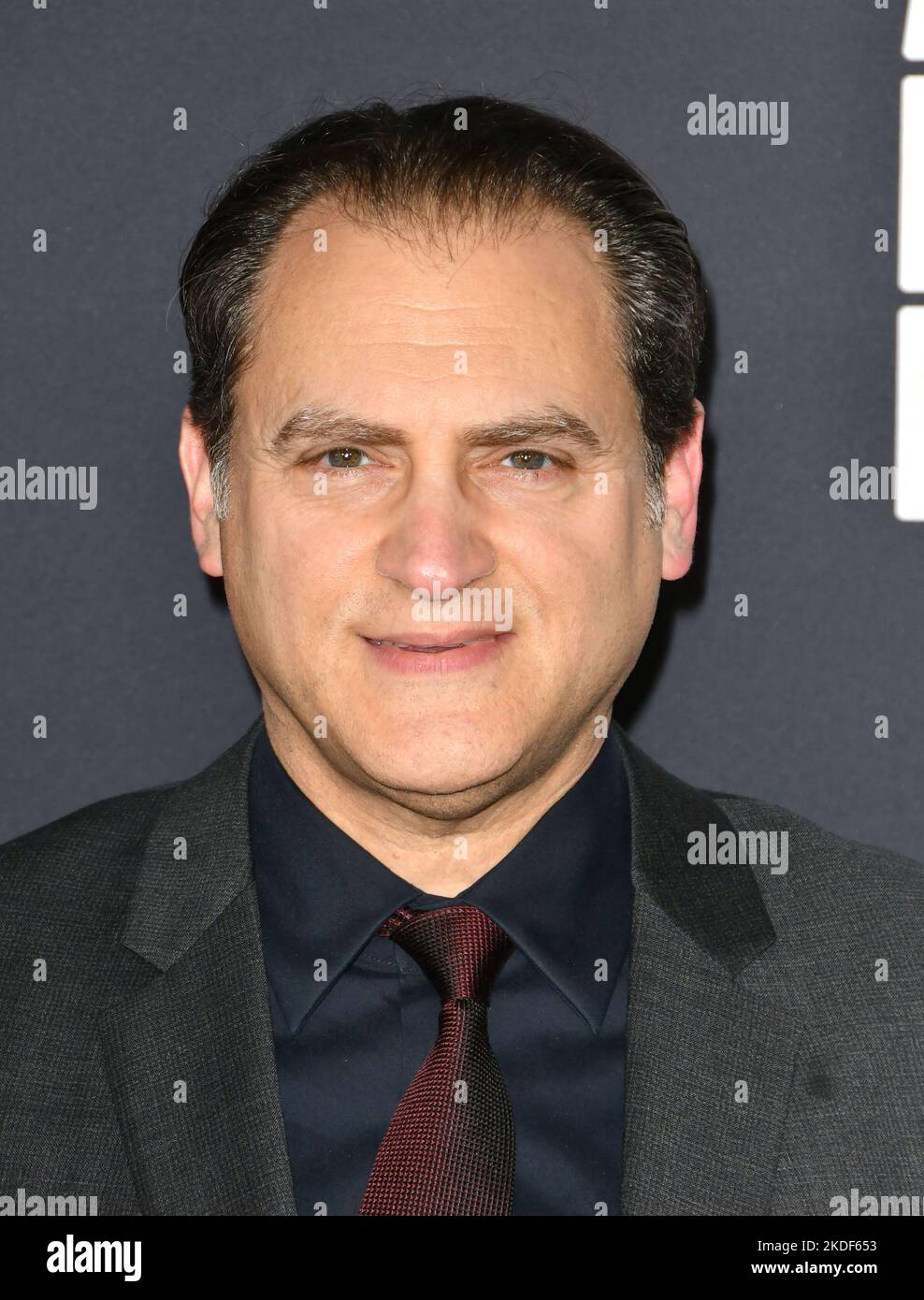 AFI Fest 2022: Red Carpet Premiere of "Bones and All" November 5, 2022 ...