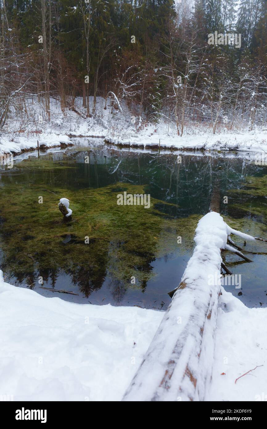 Saula blue springs (siniallikad in Estonian) at snowy winter Stock ...