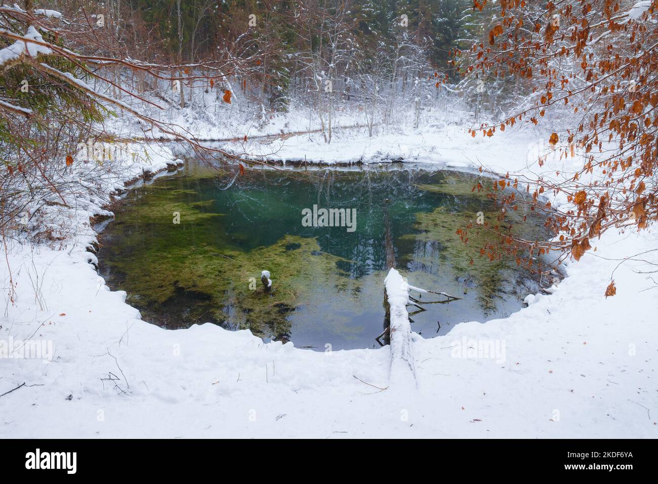 Saula blue springs (siniallikad in Estonian) at snowy winter Stock ...