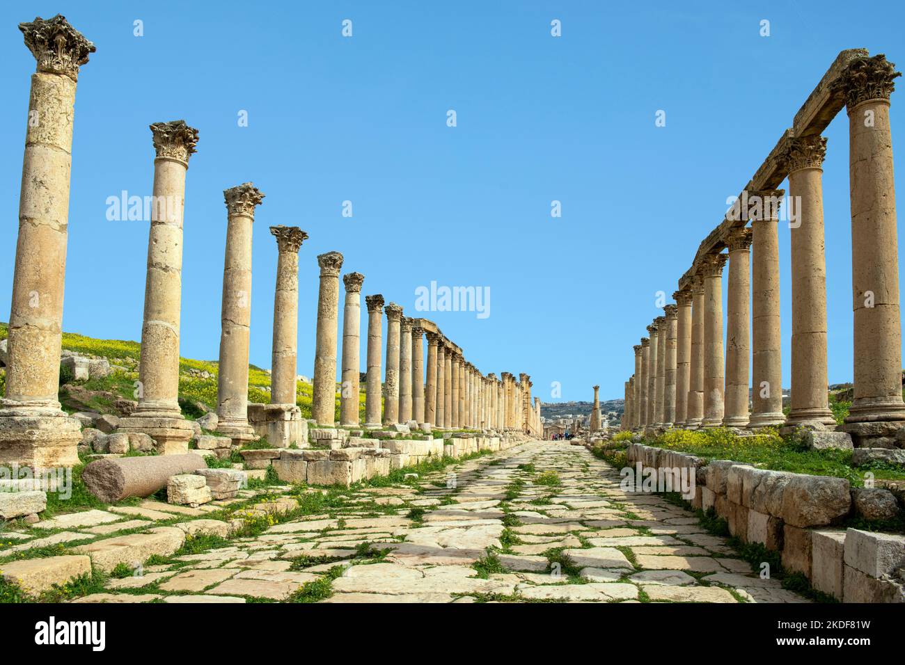 Jerash roman columns hi-res stock photography and images - Alamy