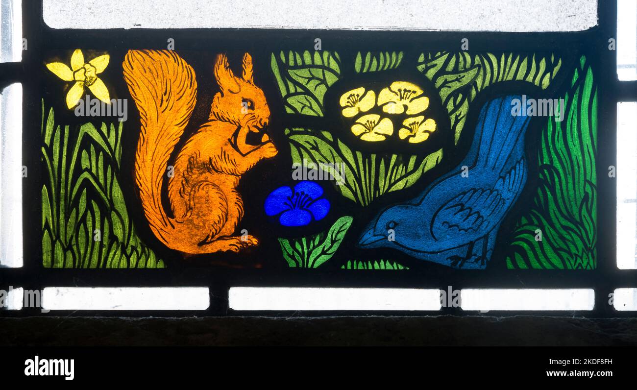 Squirrel and Blackbird stained glass detail, St. Peter`s Church, Radway ...