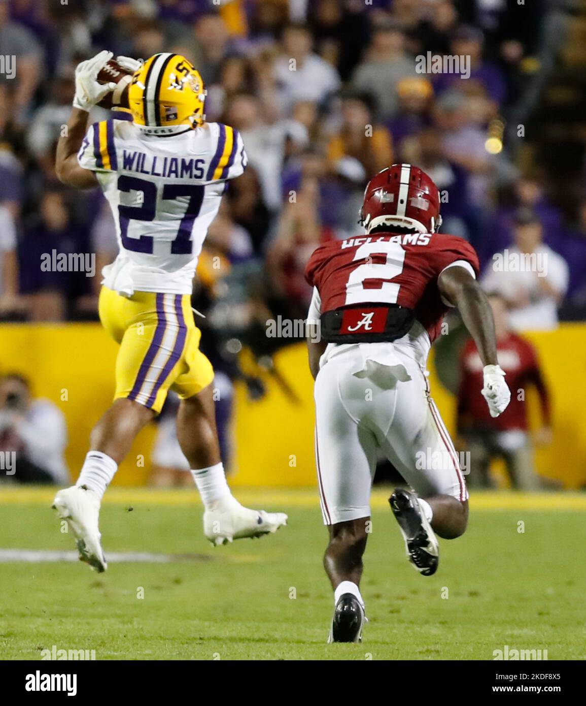 LSU Tigers running back Josh Williams (27) catches a pass for some ...