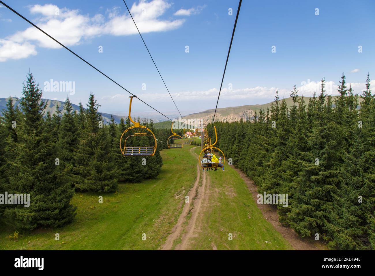 Summer mountain landscape high in the mountains. Tall trees of ...