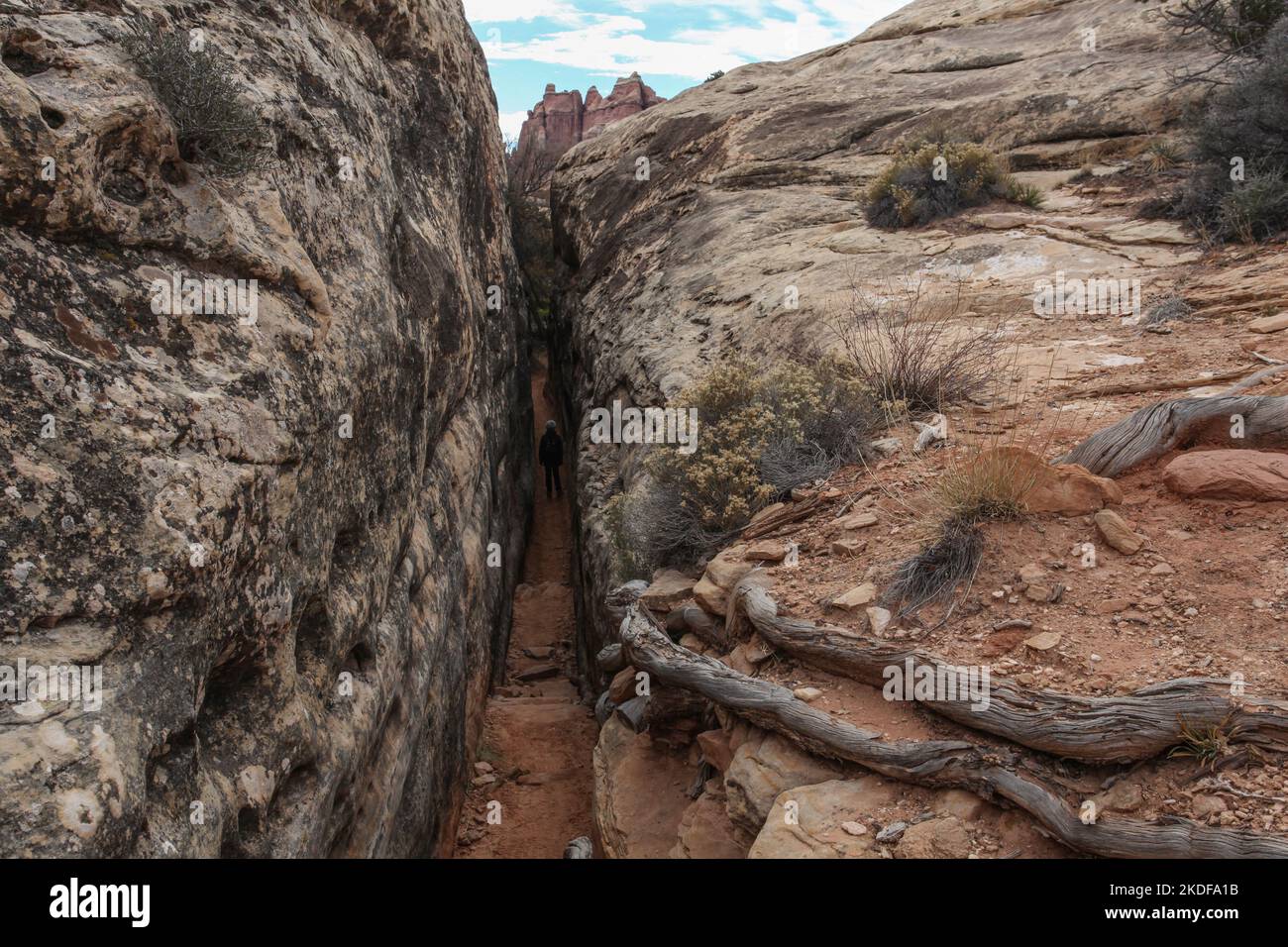 The Needles Trail in Canyonlands National Park, Utah Stock Photo - Alamy