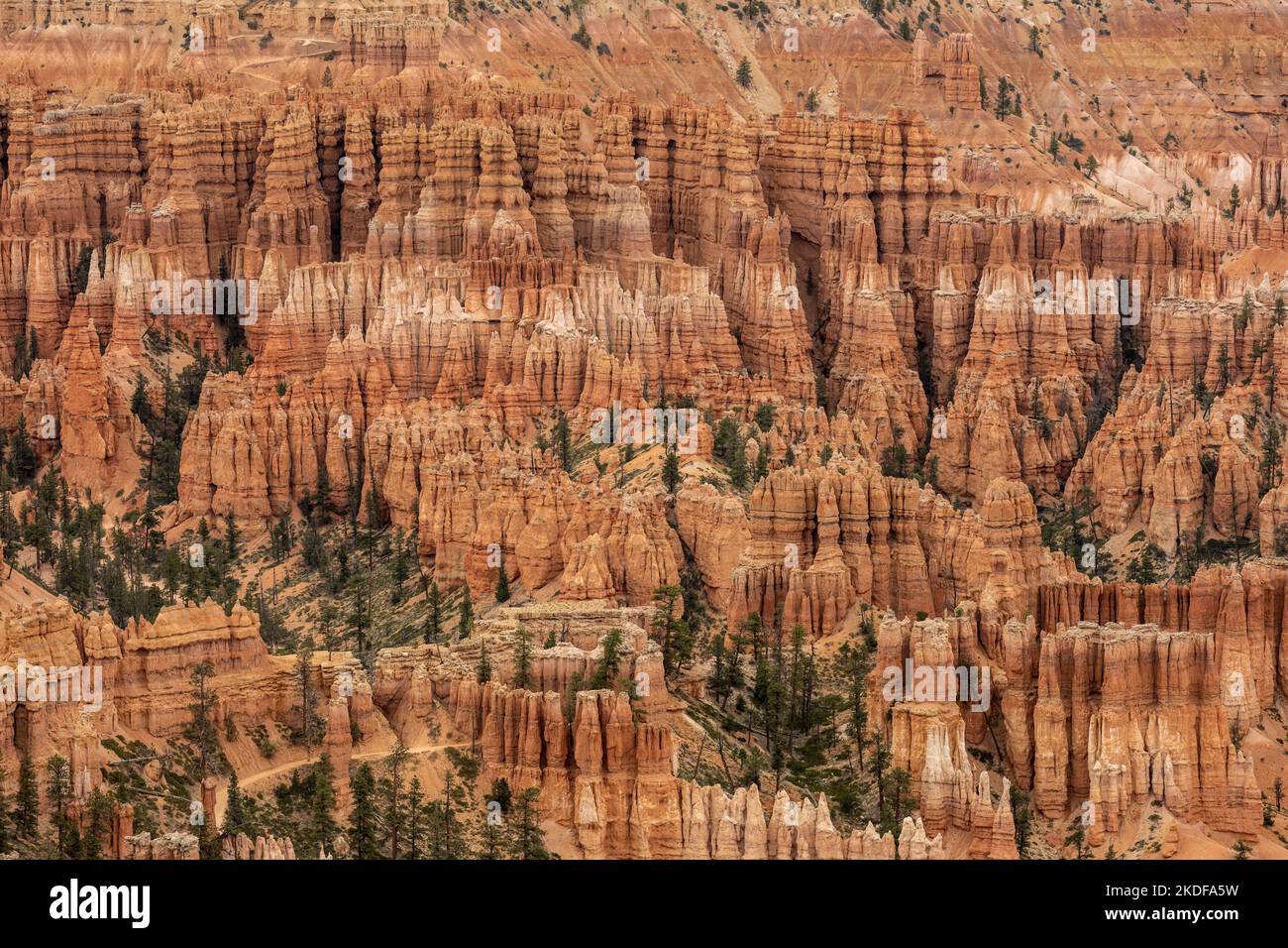 Hoodoo Vastness in Bryce Canyon National Park's Main Amphitheatre Area ...