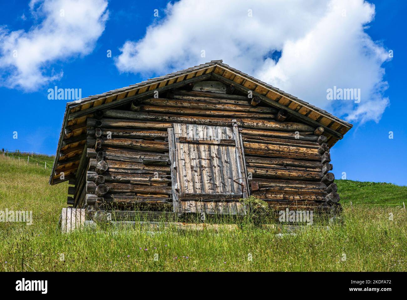 Old log stable on the alpine meadows covered in green grass and ...