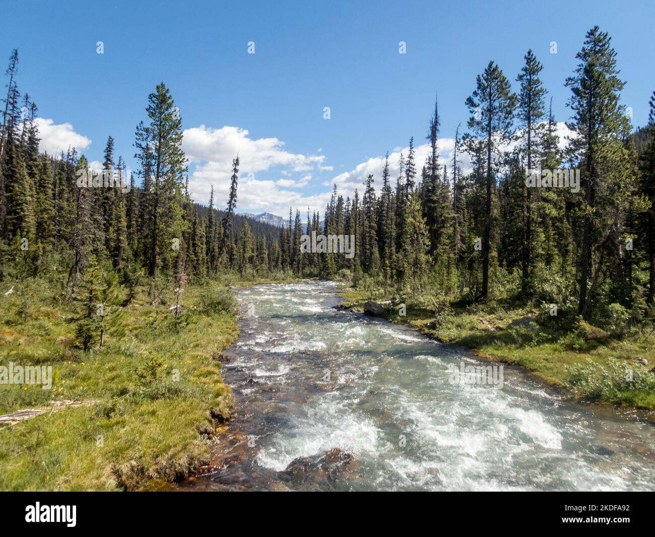 Hiking to Lake Annette in Banff National Park, passing forests and ...