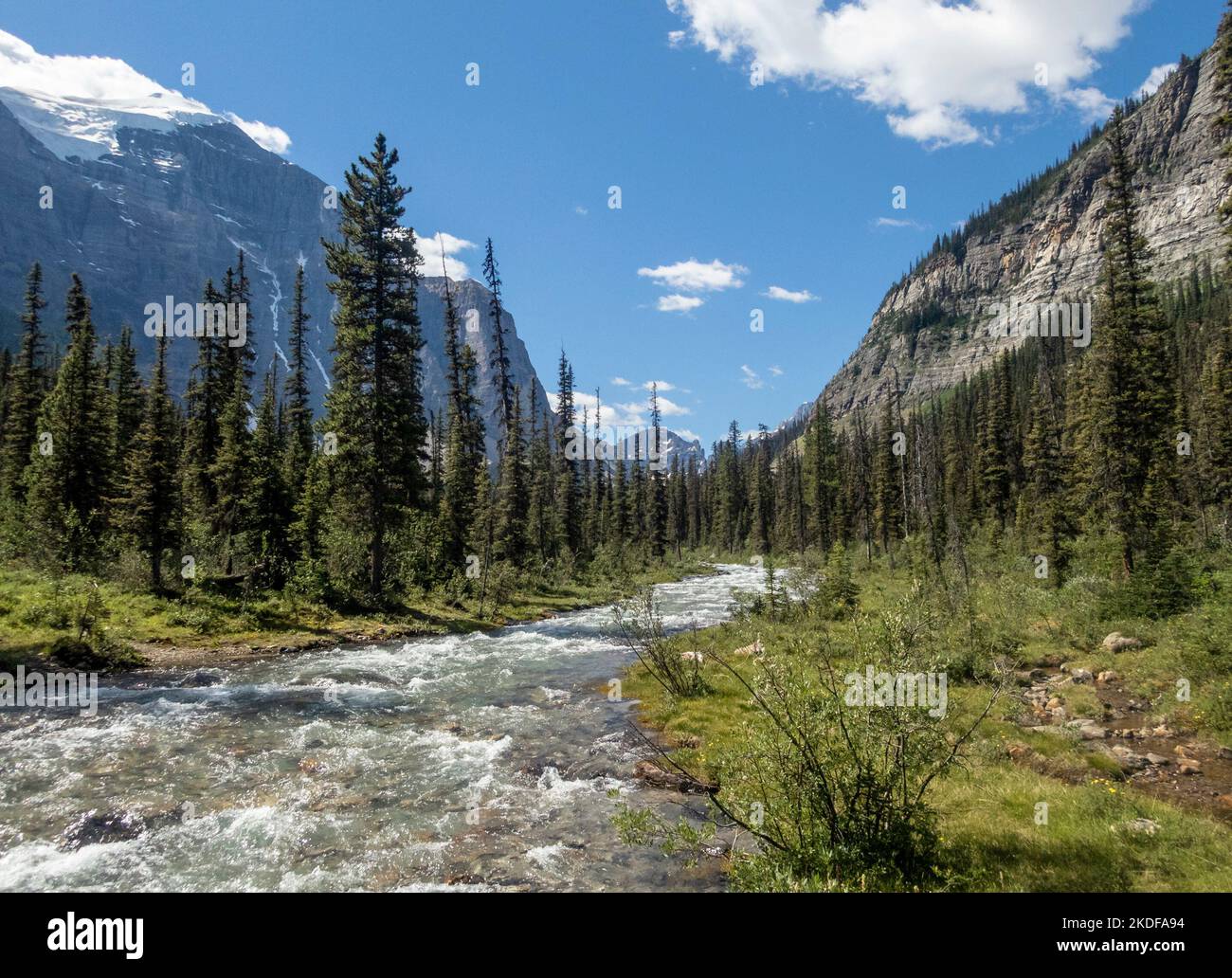 Hiking to Lake Annette in Banff National Park, passing forests and ...