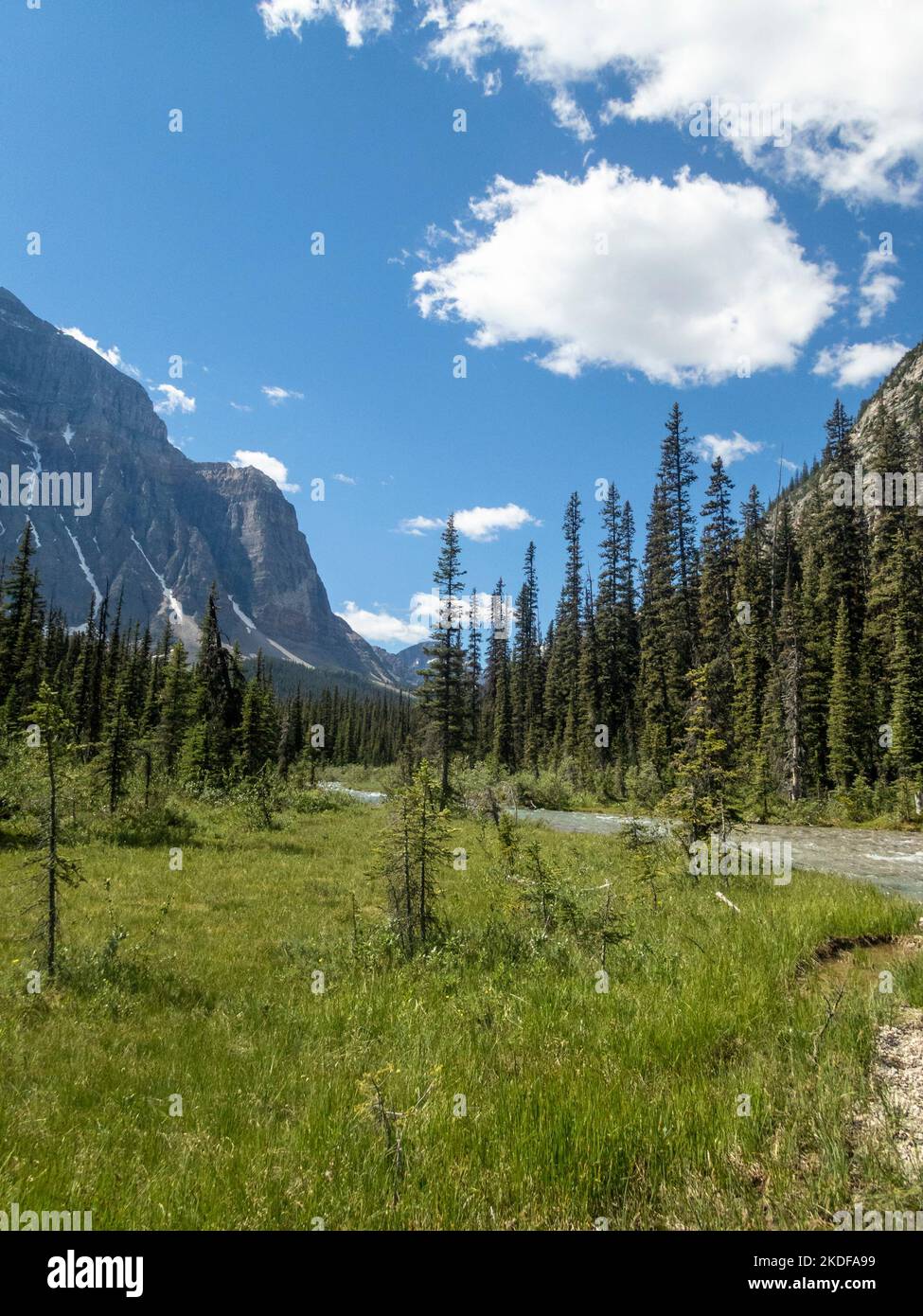 Hiking to Lake Annette in Banff National Park, passing forests and ...