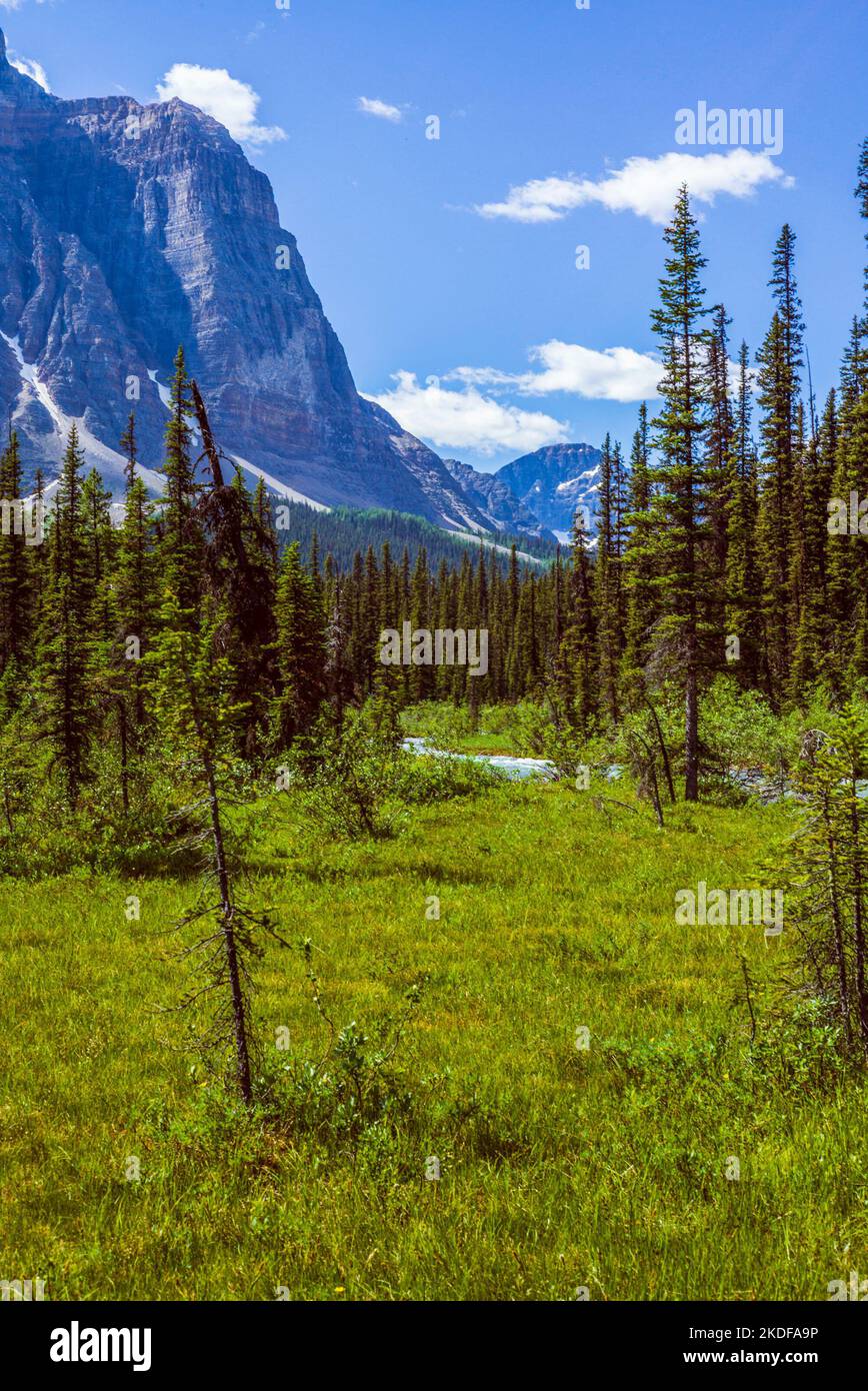 Hiking to Lake Annette in Banff National Park, passing forests and ...
