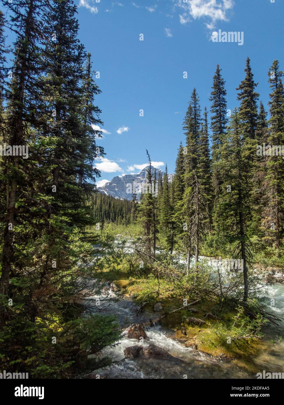 Hiking to Lake Annette in Banff National Park, passing forests and ...