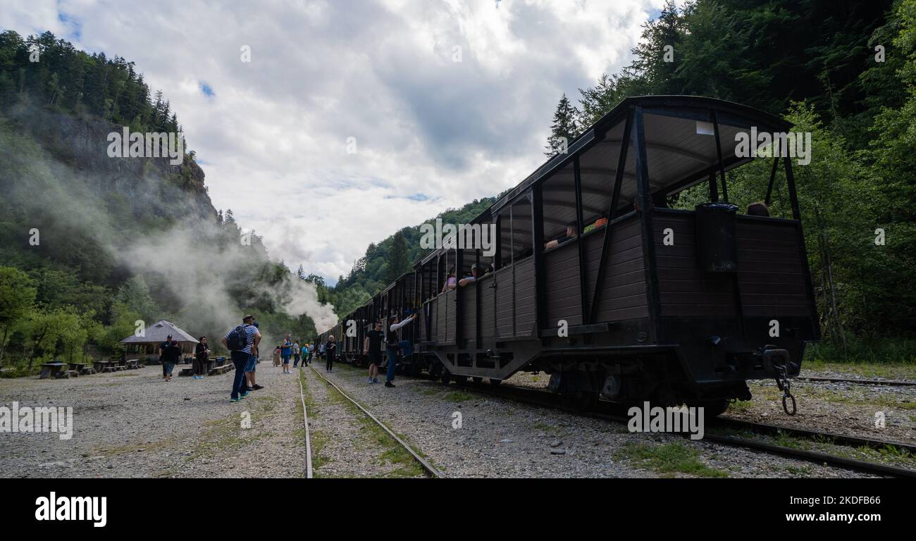 Old steam train, puffing along the tracks / Mocanita Maramures Romania ...