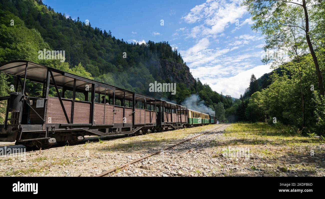 Old steam train, puffing along the tracks / Mocanita Maramures Romania ...