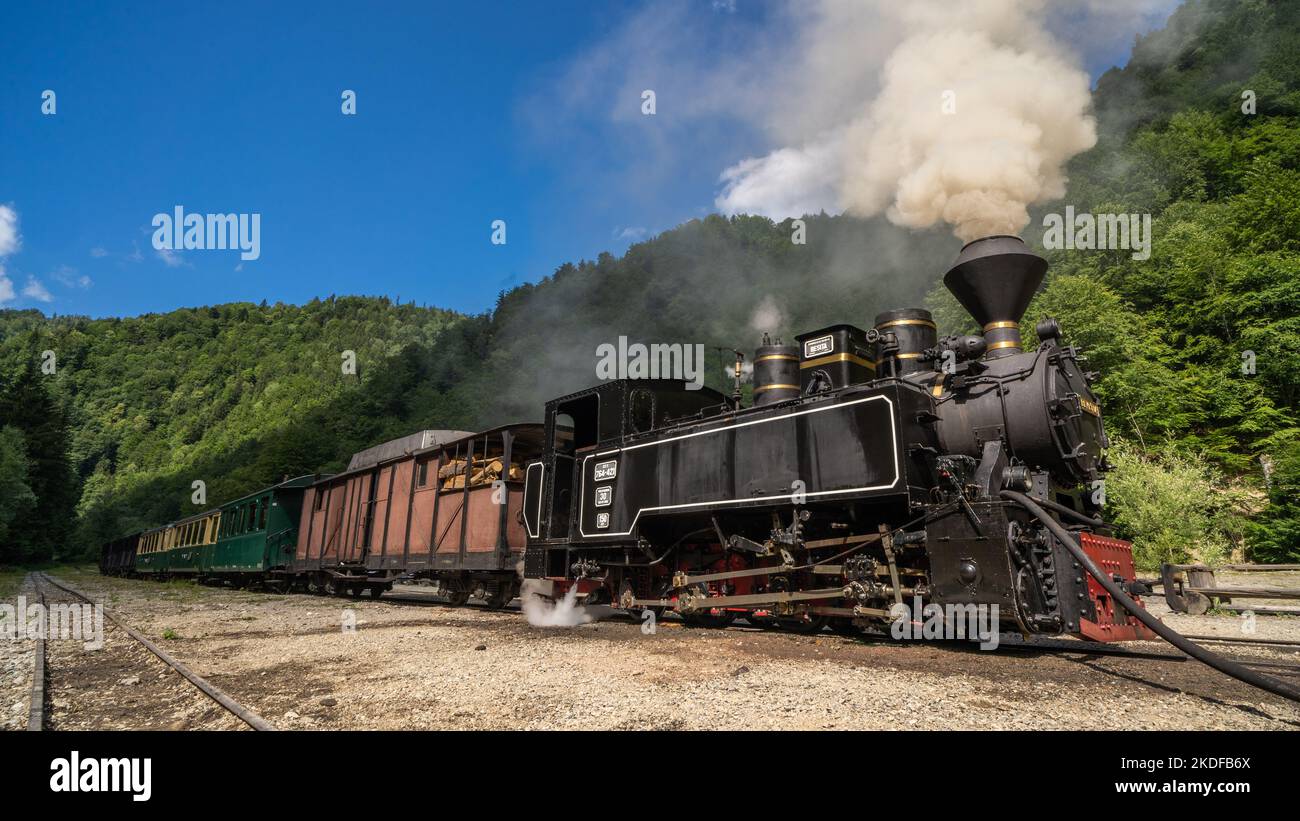 Old steam train, puffing along the tracks / Mocanita Maramures Romania ...
