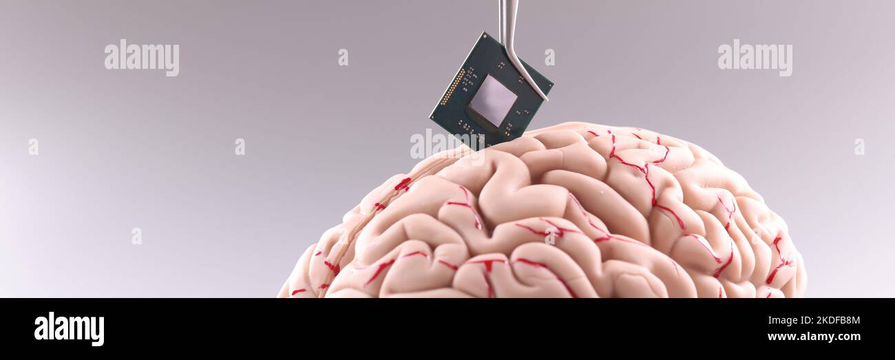 Tiny computer chip detail in human brain Stock Photo - Alamy Tiny computer chip detail in human brain Stock Photo - Alamy