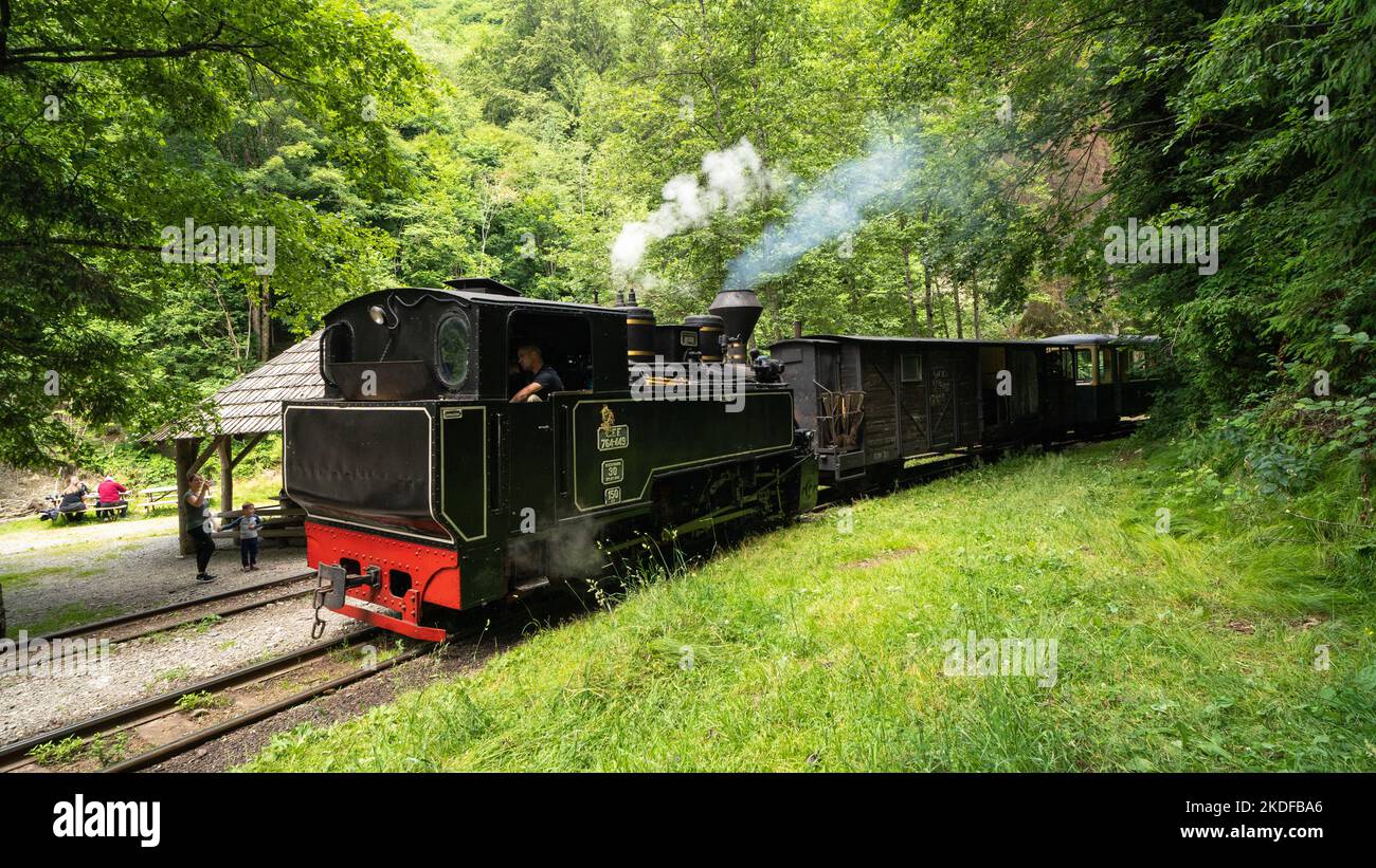 Old steam train, puffing along the tracks / Mocanita Maramures Romania ...