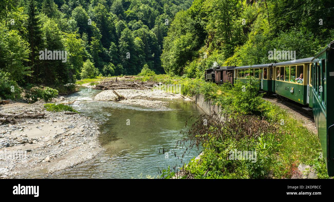 Old steam train, puffing along the tracks / Mocanita Maramures Romania ...