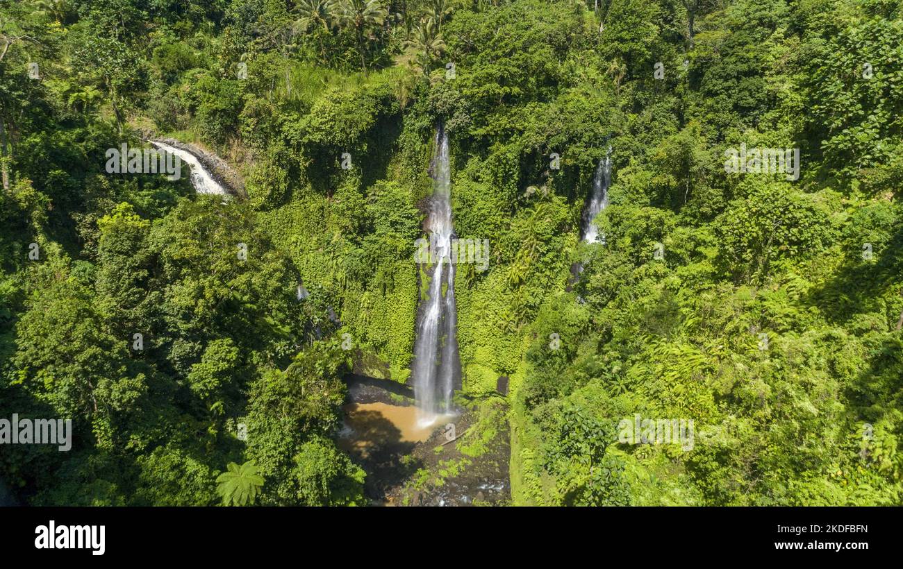Rainforest scenery hi-res stock photography and images - Alamy