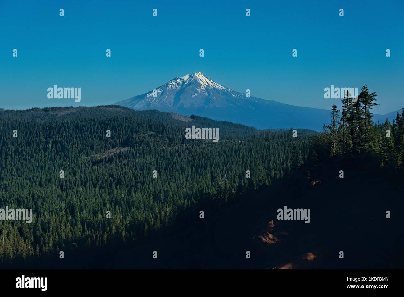 Mount Shasta view, Pacific Crest Trail, California, USA Stock Photo - Alamy