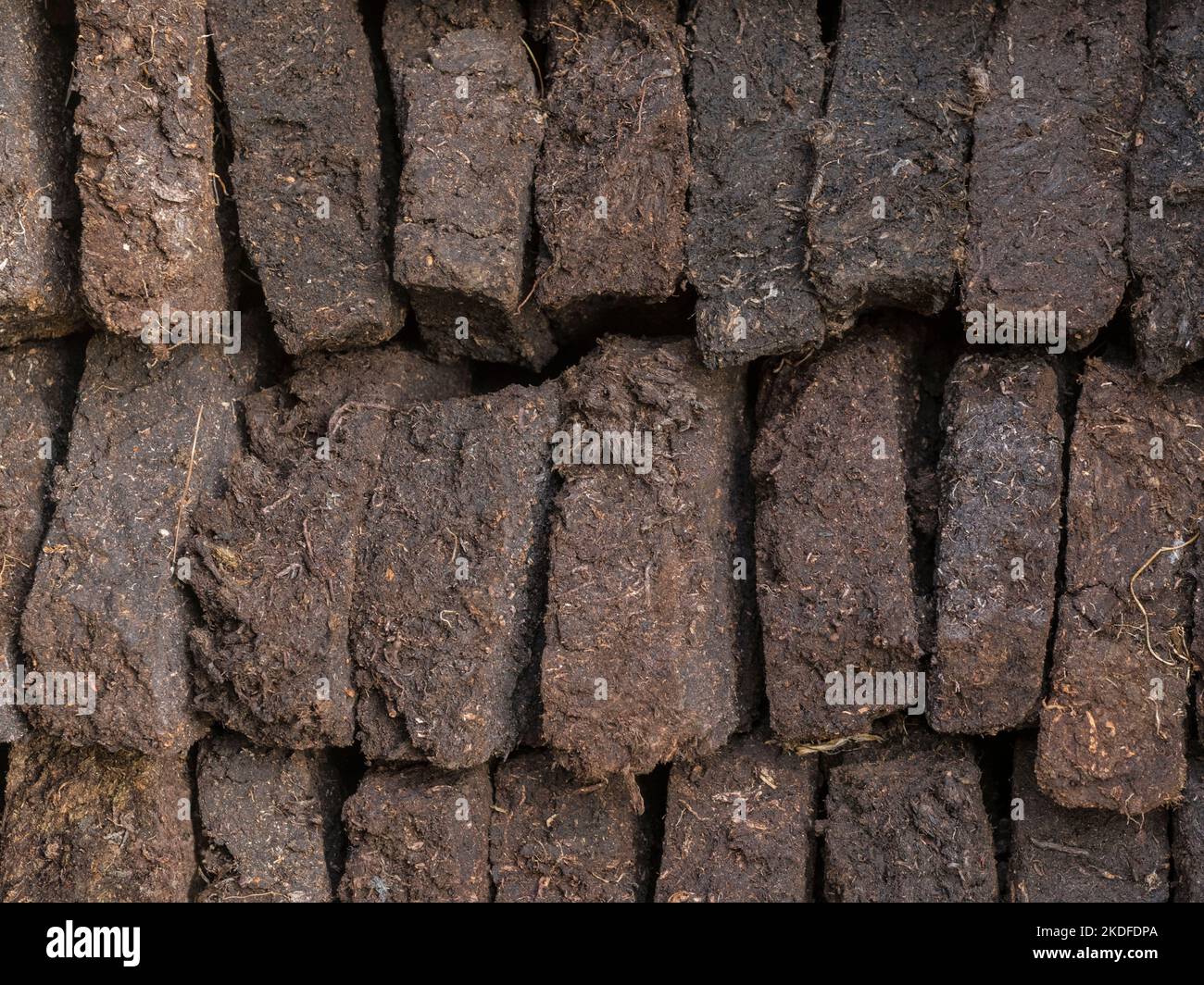 Blocks of peat stacked in croft shed, Mainland Shetland, Shetland Stock ...