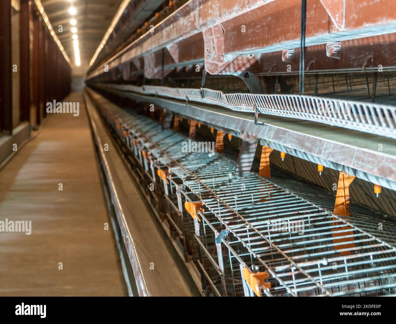 The empty laying cages in the chicken farm Stock Photo - Alamy