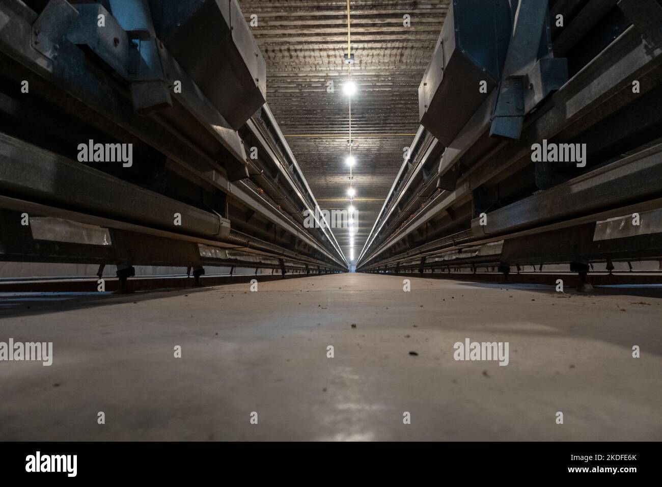 The empty congested laying cages in the chicken farm Stock Photo - Alamy