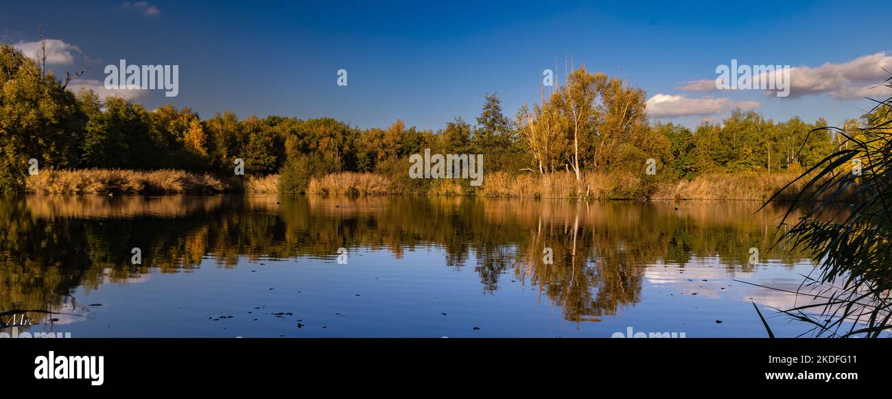 A panoramic view of a lake and thick trees in the background on a sunny ...
