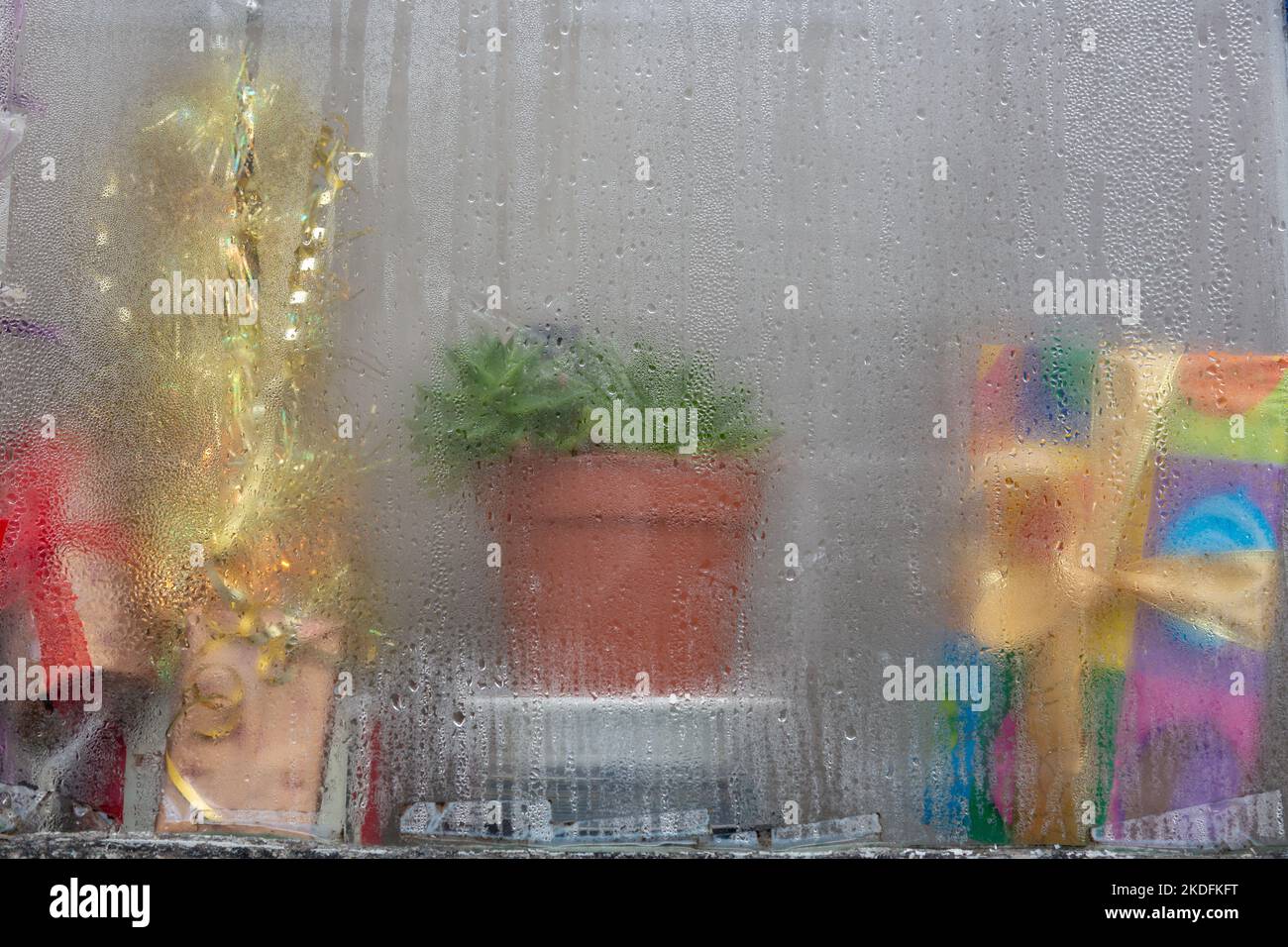 Gifts and a potted plant seen through a steamy window. Brussels on a ...