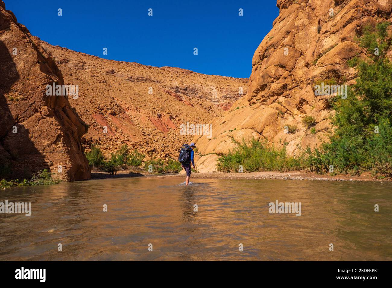 Young male trekker in The Valley of the Roses wading through the M'Goun ...