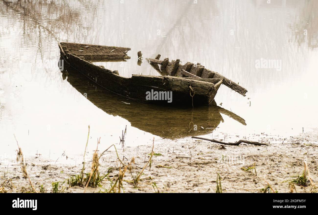 Panoramic view of the swamp covered with morning autumn fog. Swampy ...