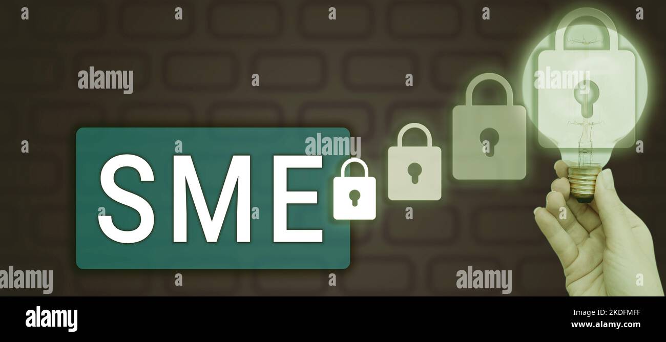 Sign displaying Sme, Business overview small to midsize enterprise ...