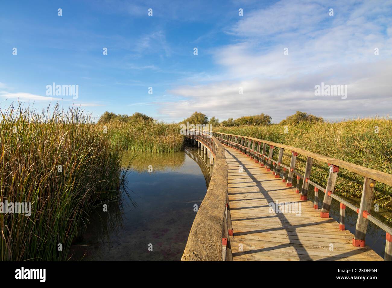 Wooden footbridge over the seasonal lagoon of Tablas de Daimiel ...
