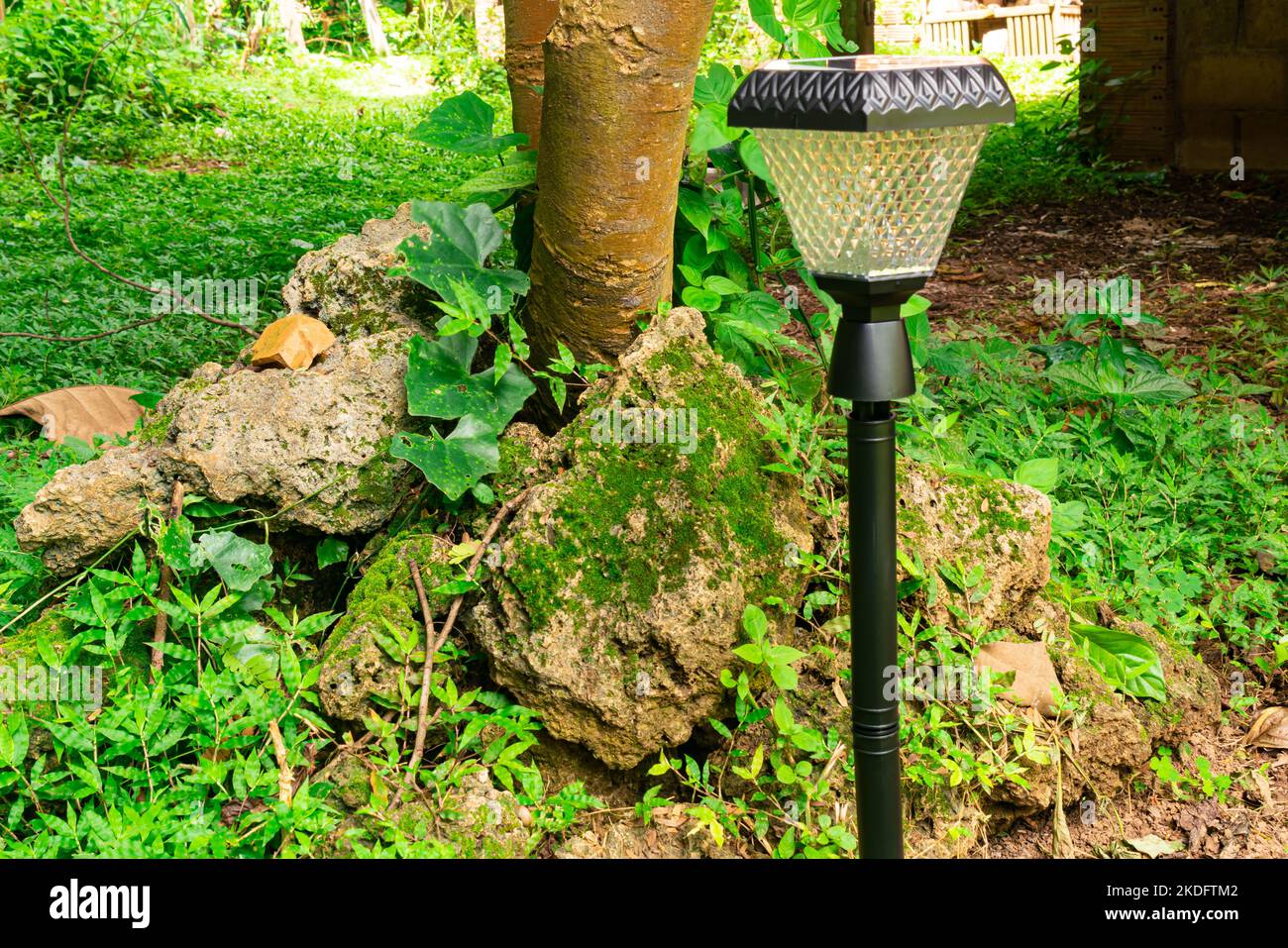 Closeup view daytime of led solar lamp lighting in front of the tree in ...