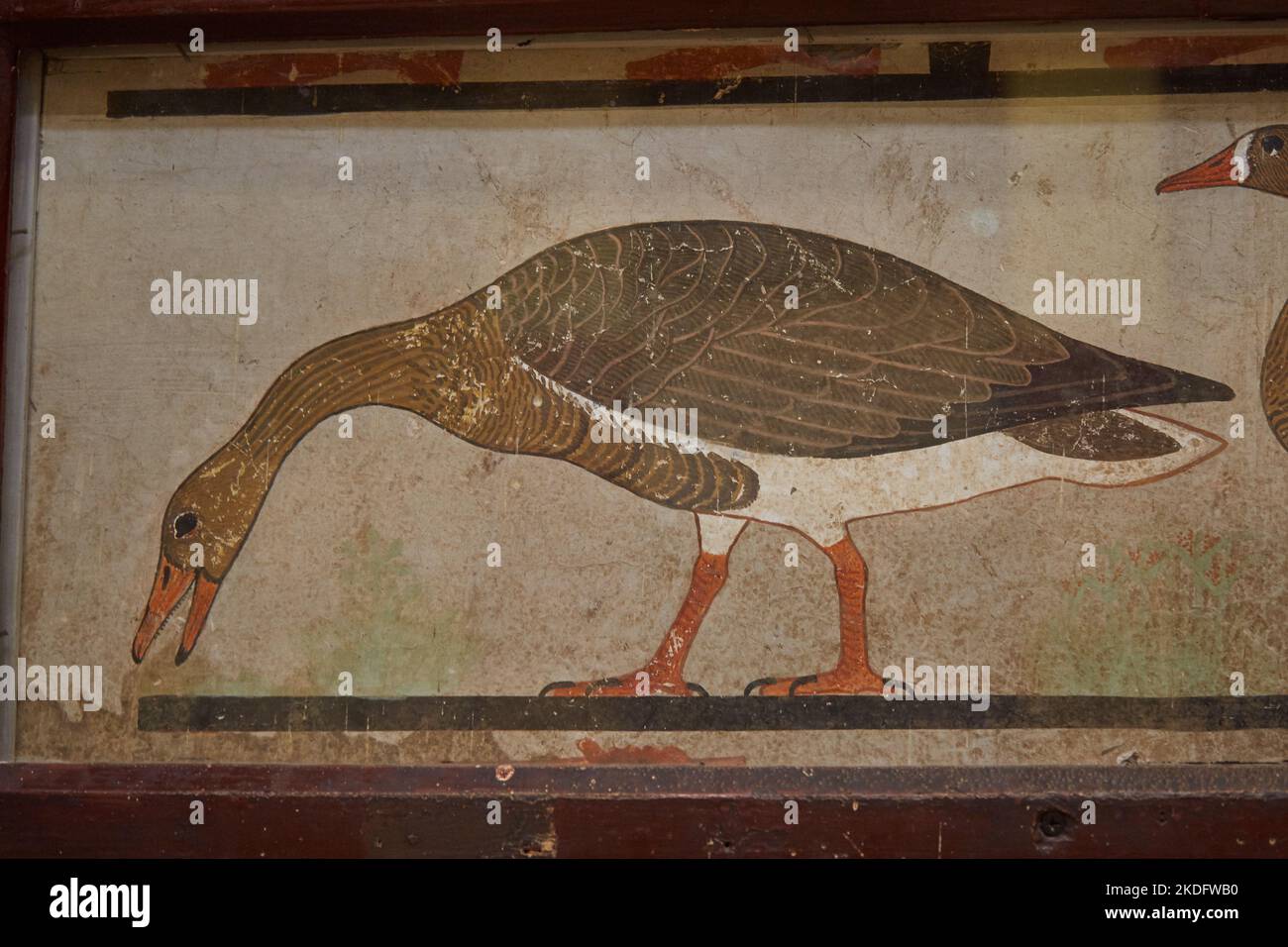 The Famous Meidum Geese Painting at the Egyptian Museum Stock Photo - Alamy