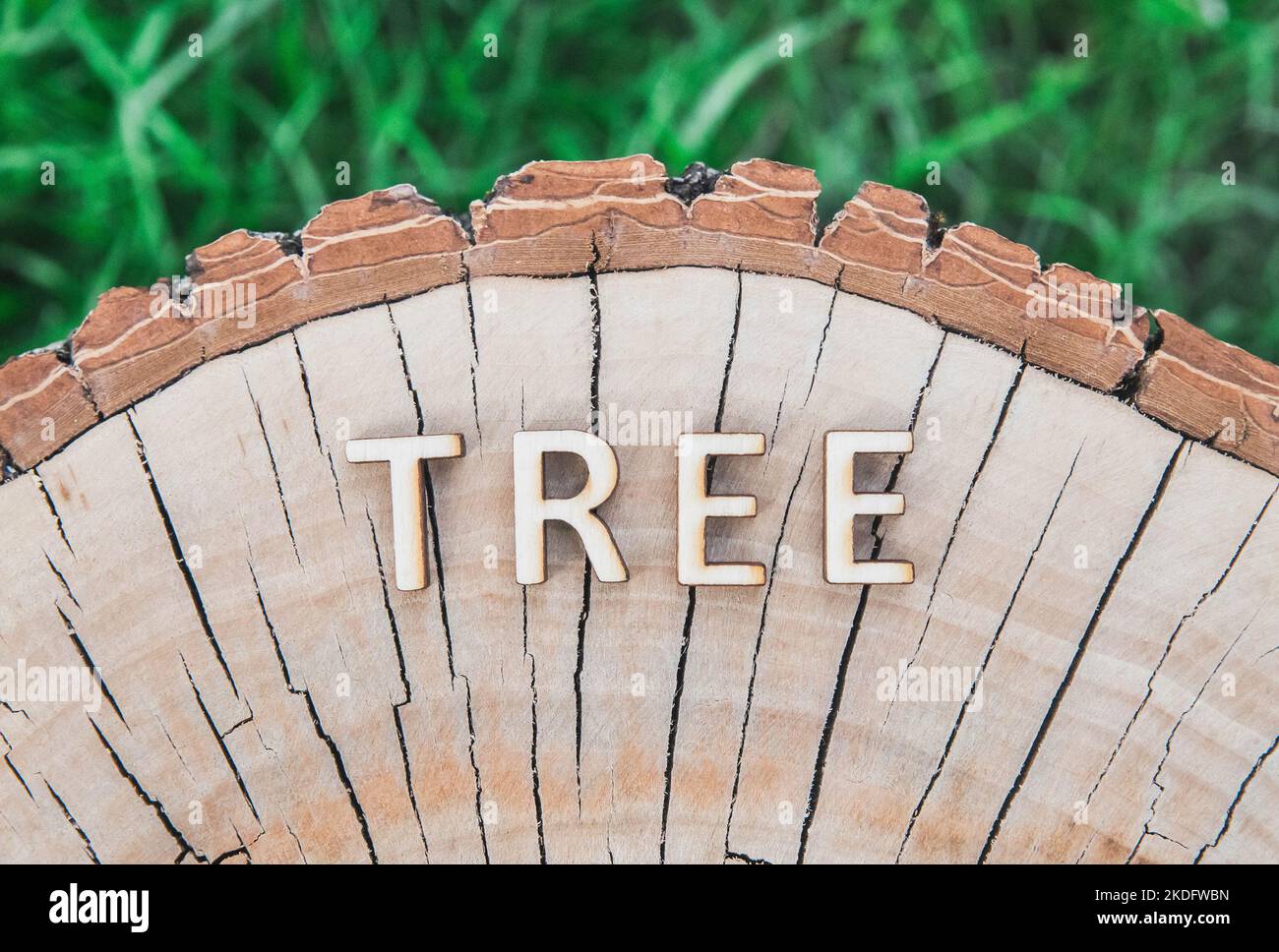 Carving letters in wood hi-res stock photography and images - Alamy