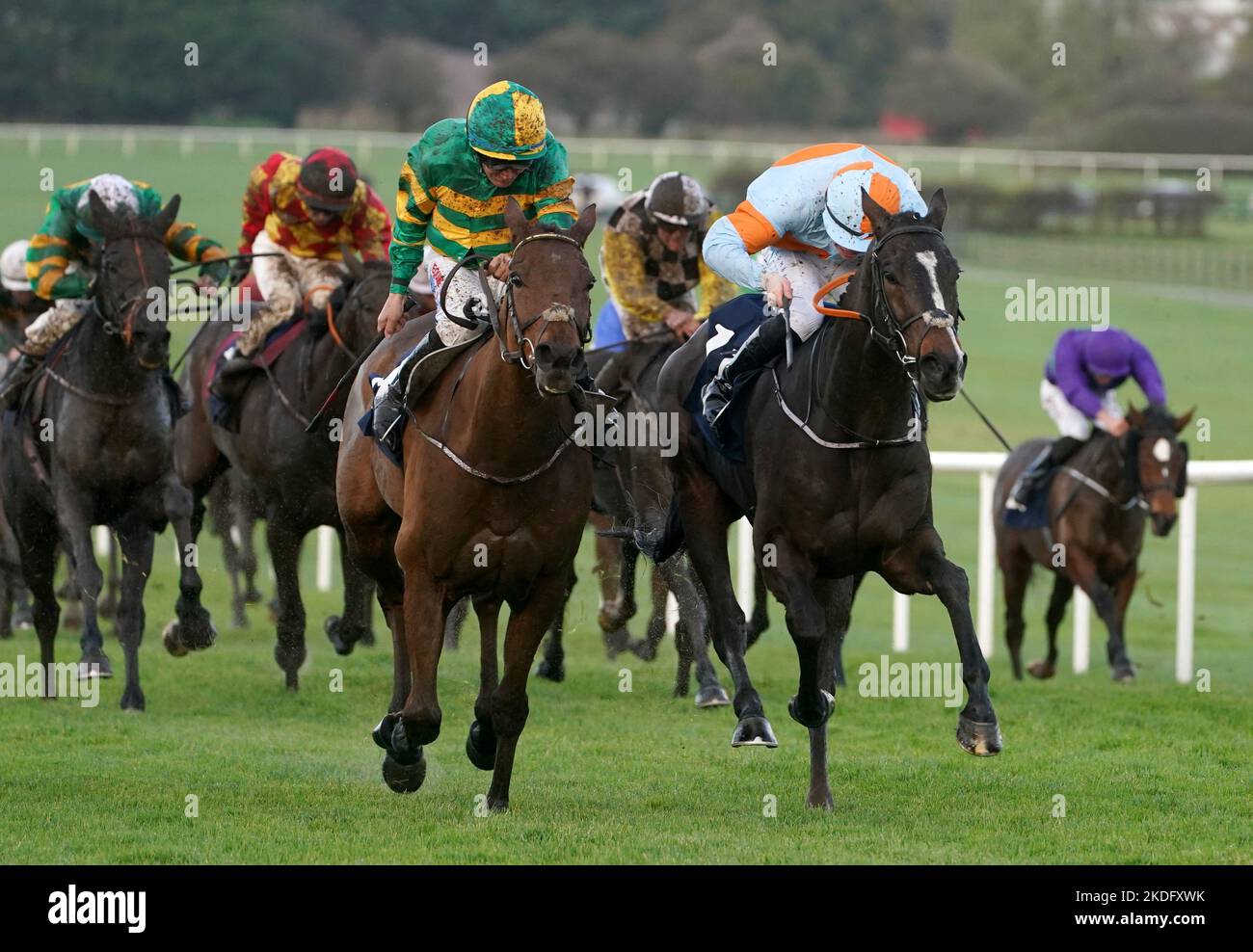 Drop the anchor horse hi-res stock photography and images - Alamy