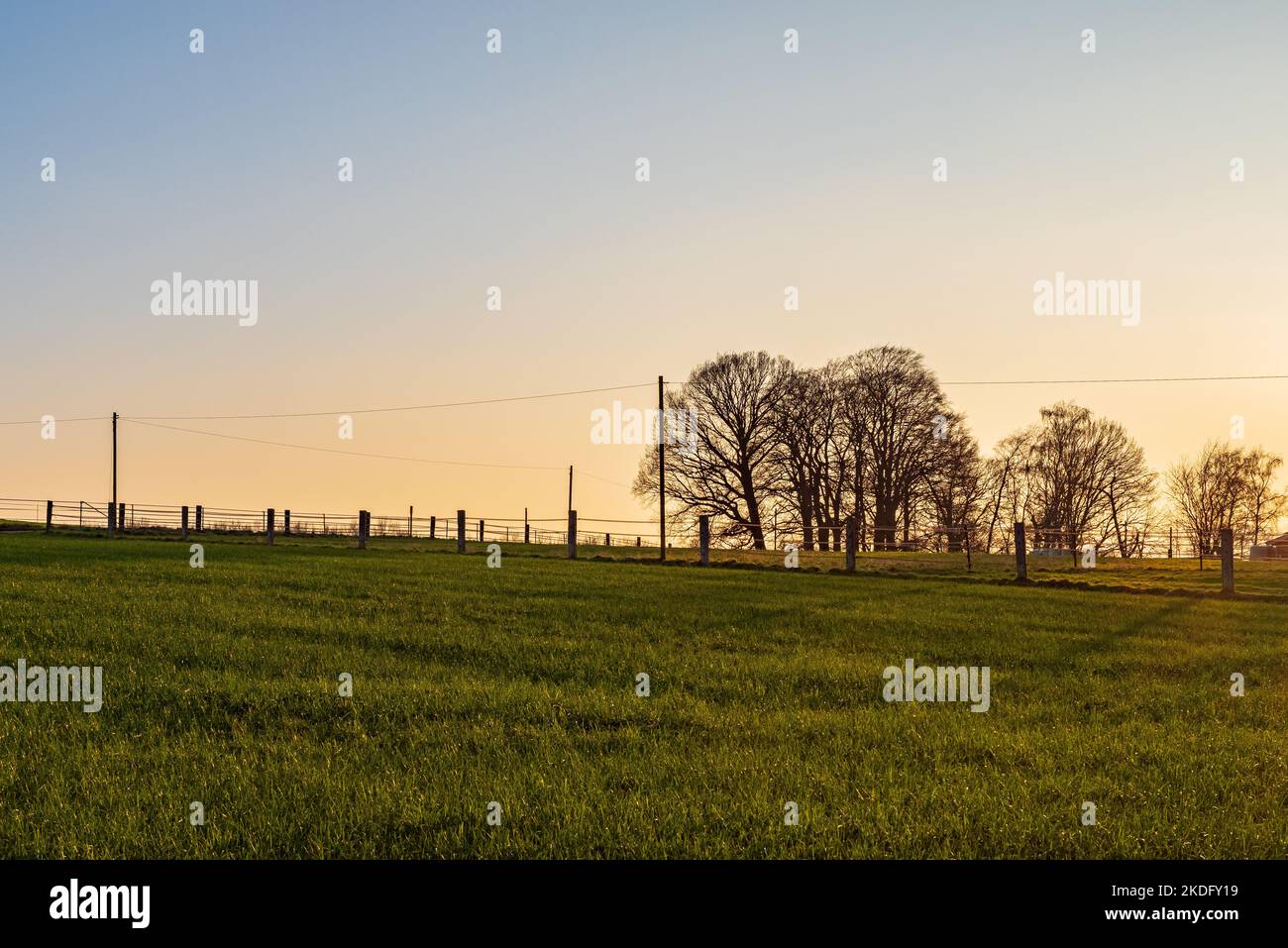 View over meadows and fields in the evening sunlight Stock Photo - Alamy