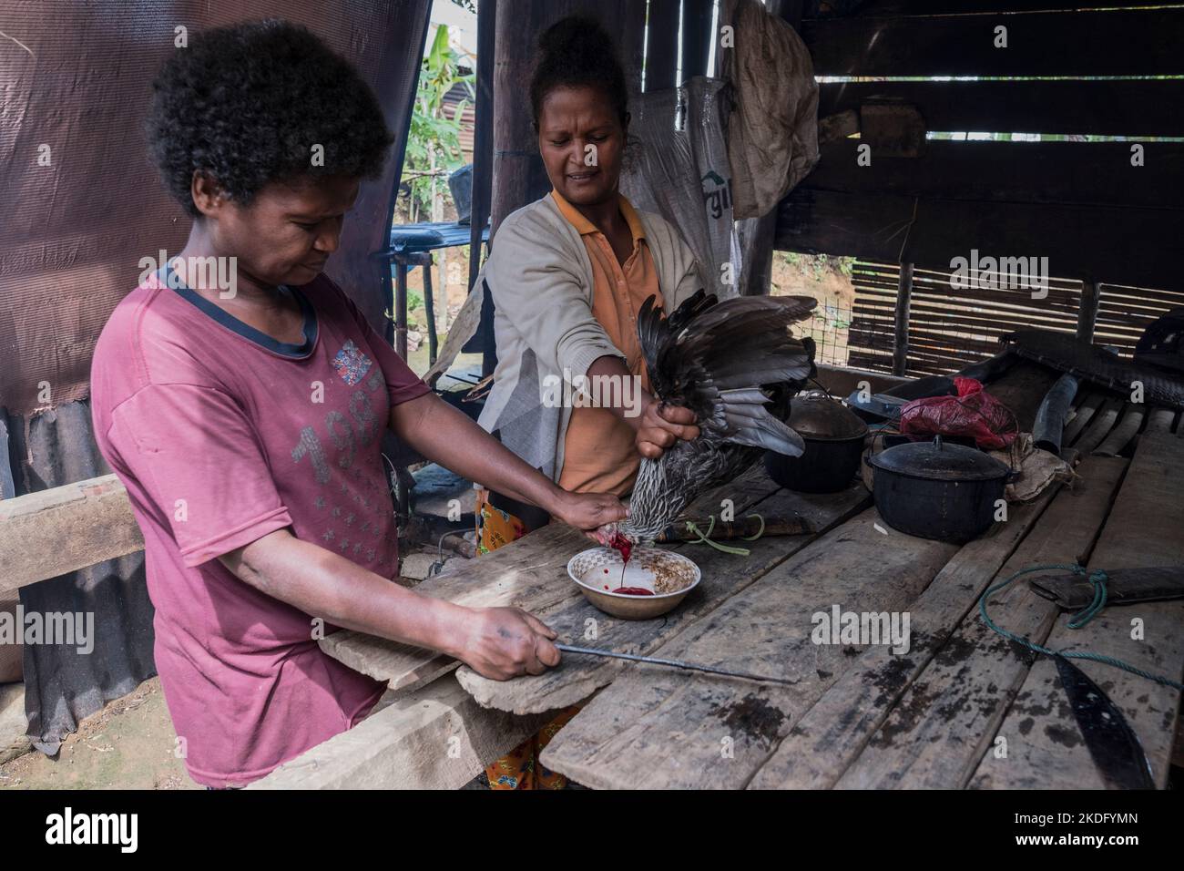 Aetas tribe, Negros island, Philippines Stock Photo - Alamy