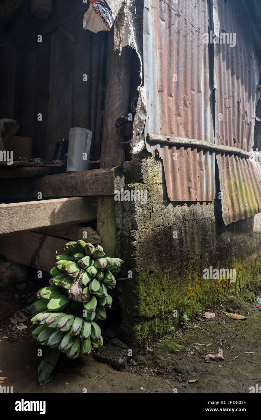 Aetas tribe, Negros island, Philippines Stock Photo - Alamy