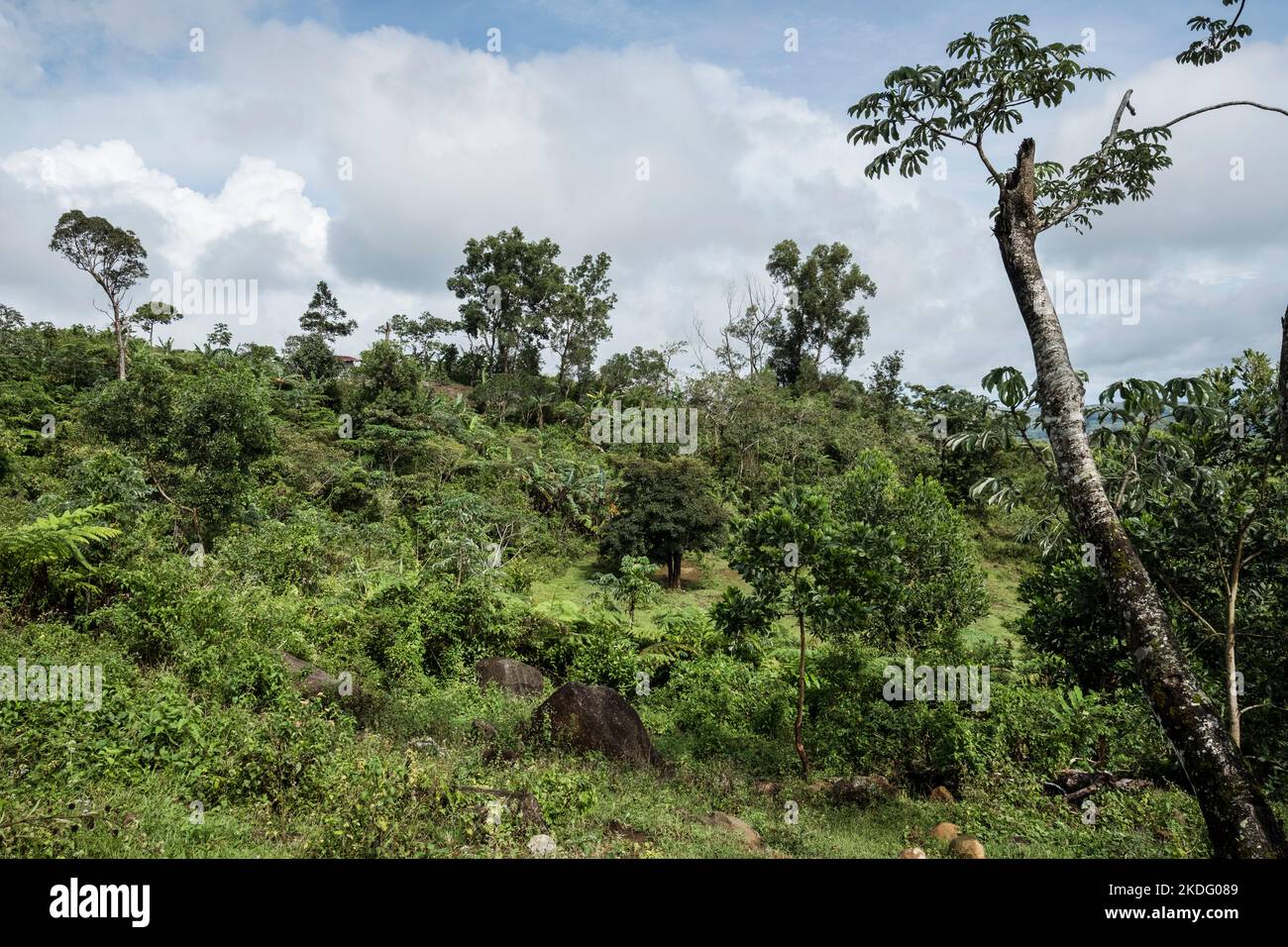 Aetas tribe, Negros island, Philippines Stock Photo - Alamy