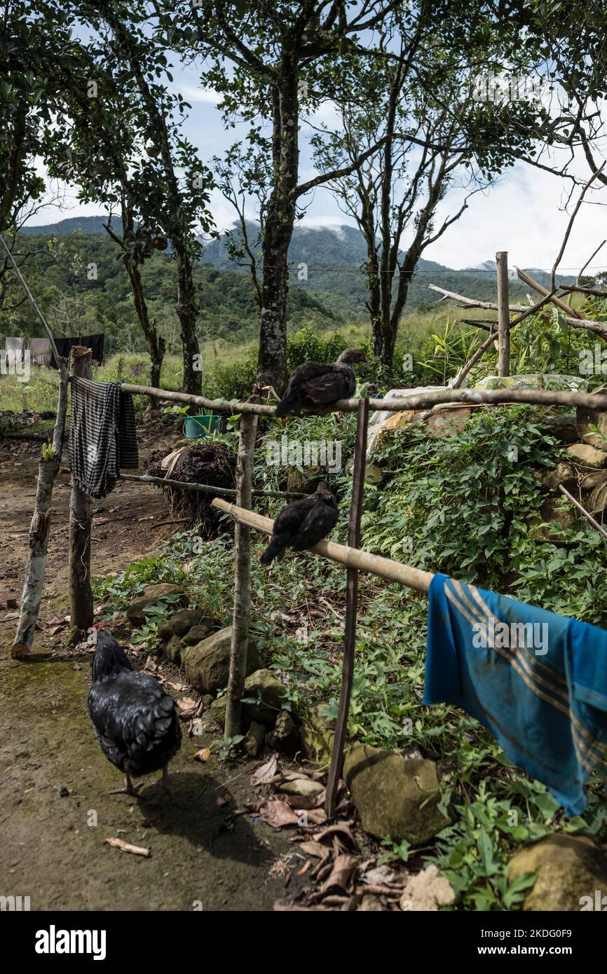 Aetas tribe, Negros island, Philippines Stock Photo - Alamy