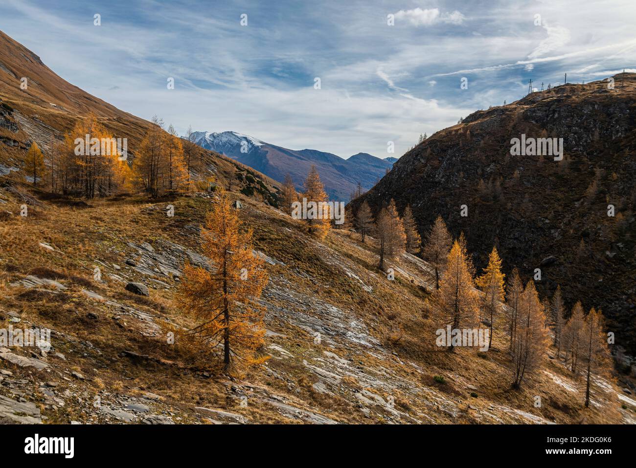 Hohe Tauern National Park in Alps with orange yellow glowing larch ...