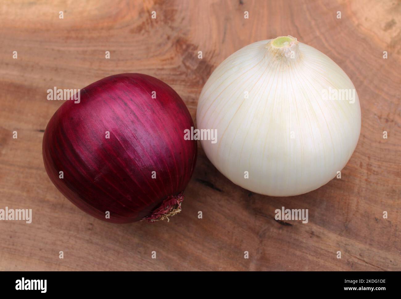 A Medium Red Onion Beside a Large White Onion Stock Photo - Alamy