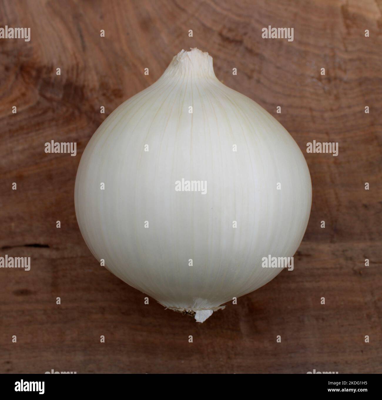 One large onion hi-res stock photography and images - Alamy