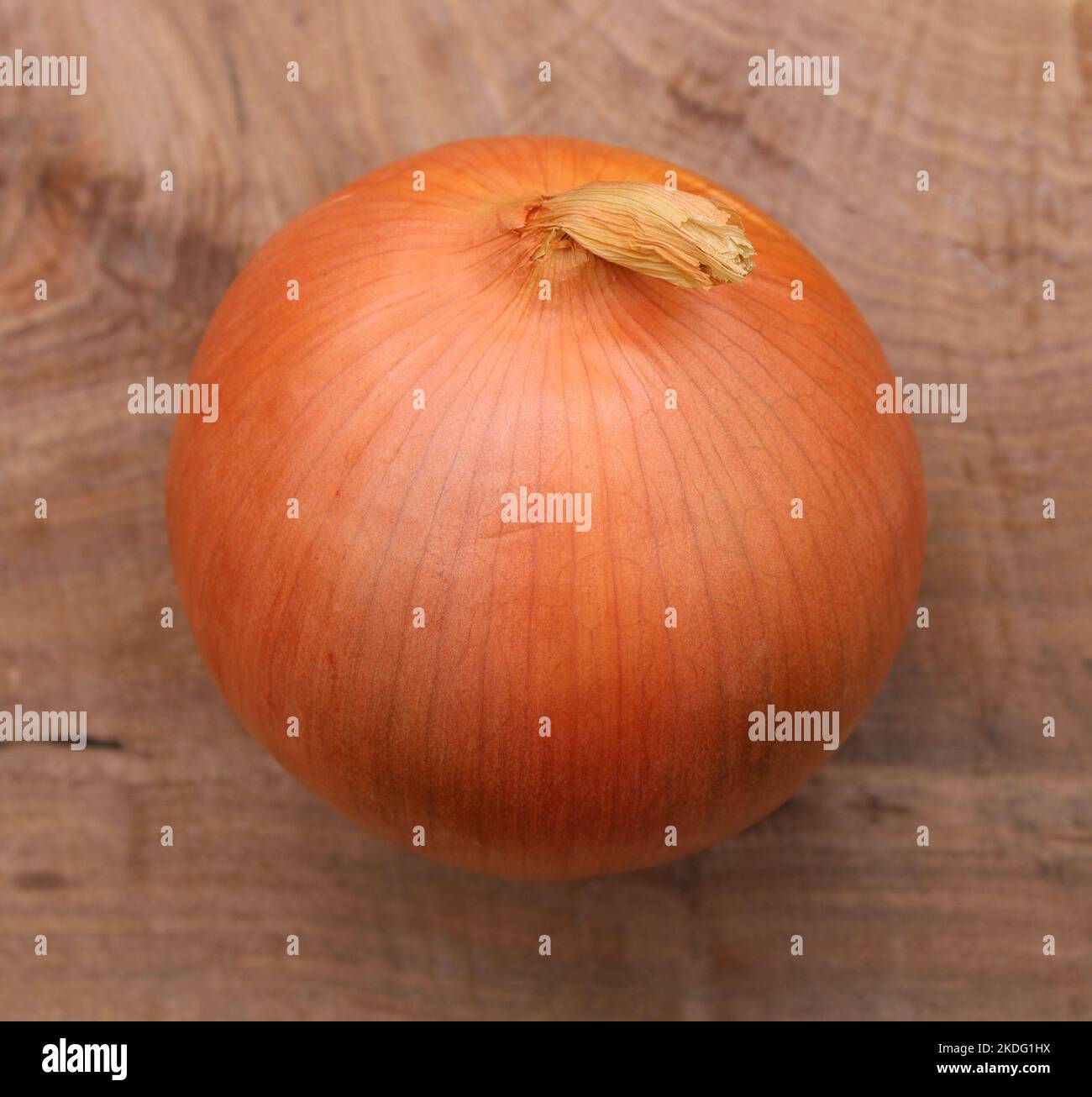 A Large Spanish Yellow Onion on a Black Walnut Background Stock Photo ...