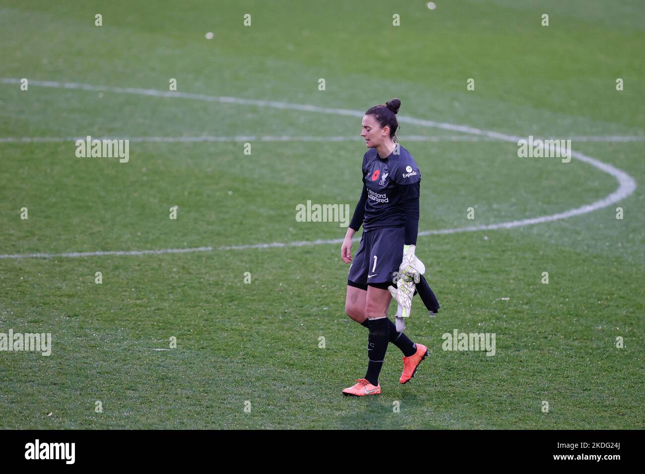 Rylee hi-res stock photography and images - Alamy