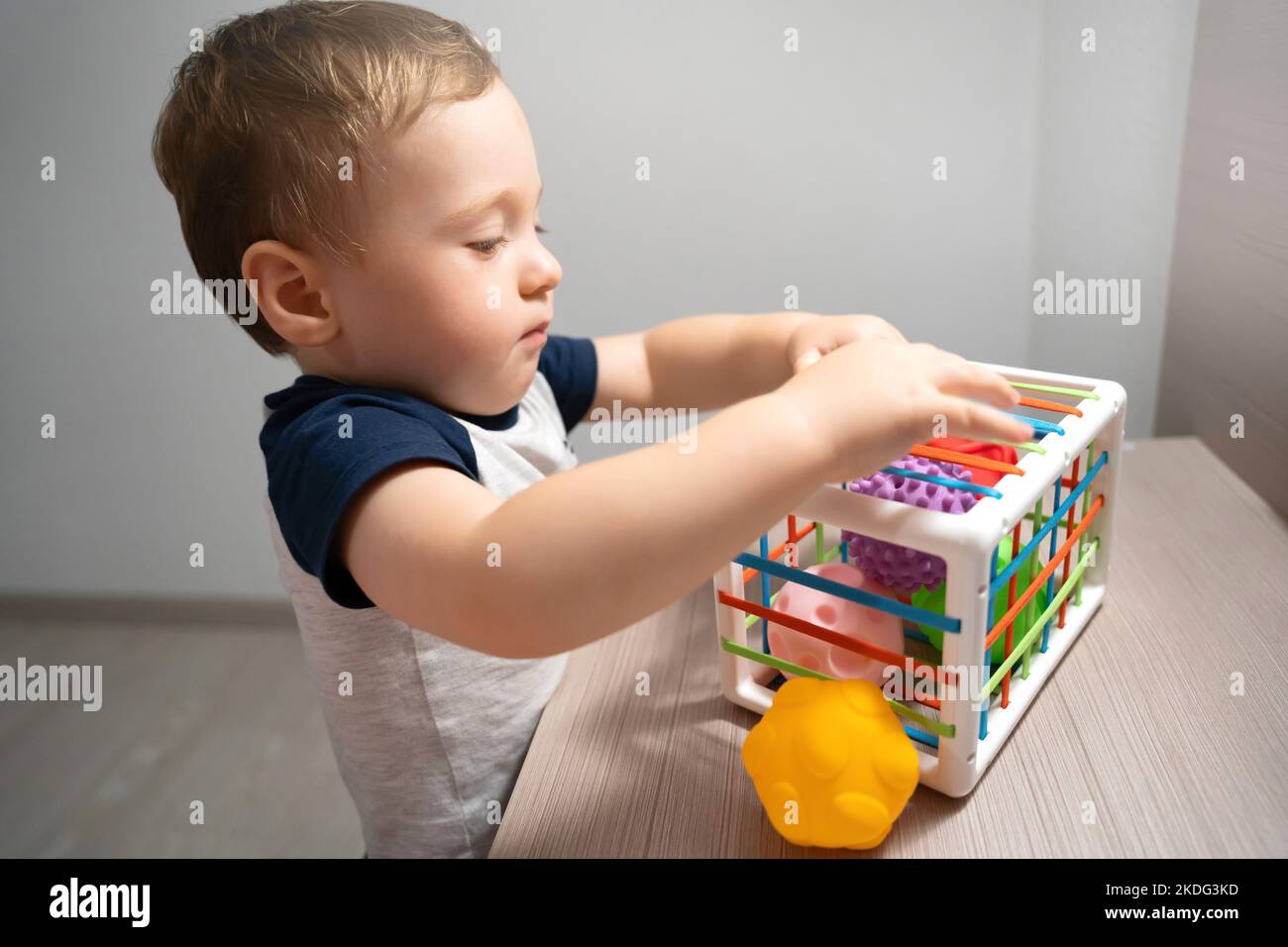 A cute toddler boy is playing a game with sensory colorful balls ...