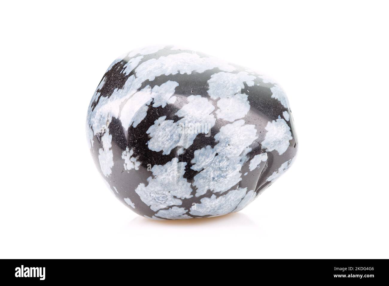 Macro Shooting of Tumbled Snowflake Obsidian Gem Stone with White ...