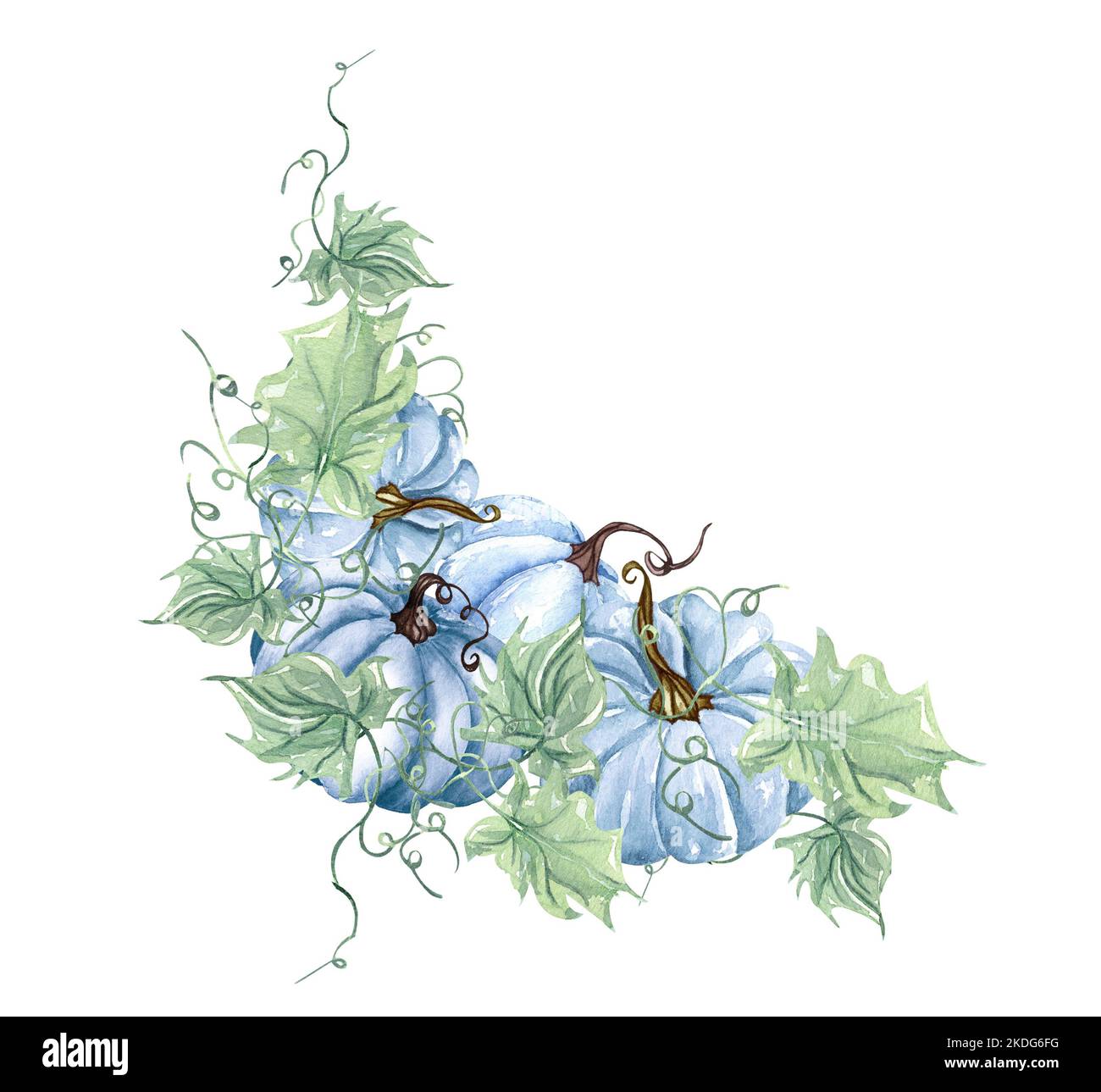 Watercolor pumpkin composition, floral pumpkins, Halloween clip art ...